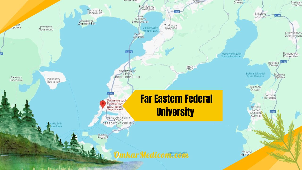 Far Eastern Federal University | FEFU | Rs 3,93,000 per year